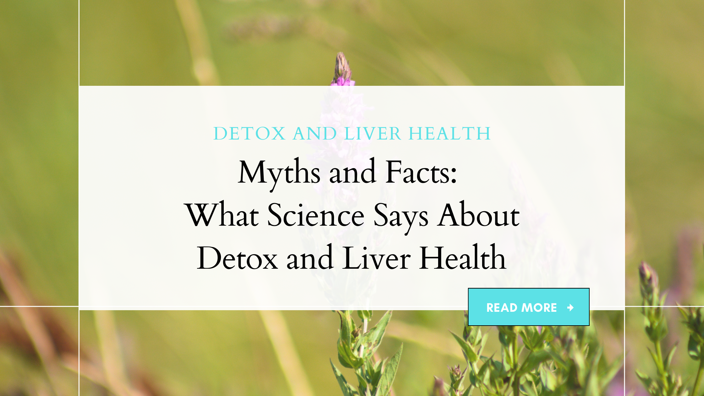 Myths and Facts: What Science Says About Detox and Liver Health ...
